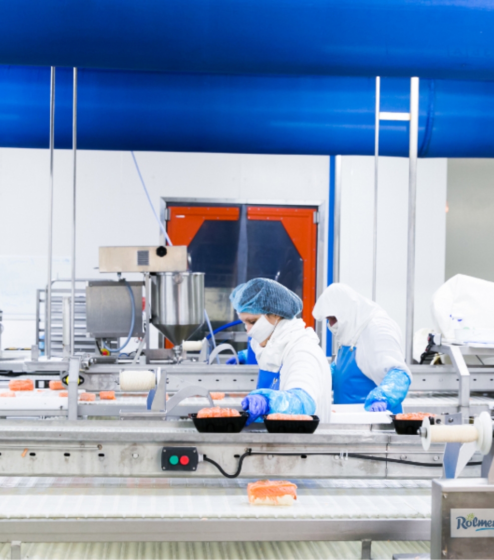 Nos métiers - Rolmer