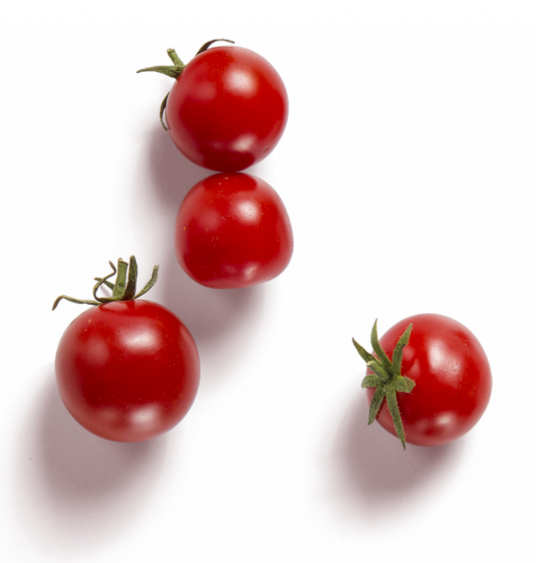 Nos produits - Rolmer